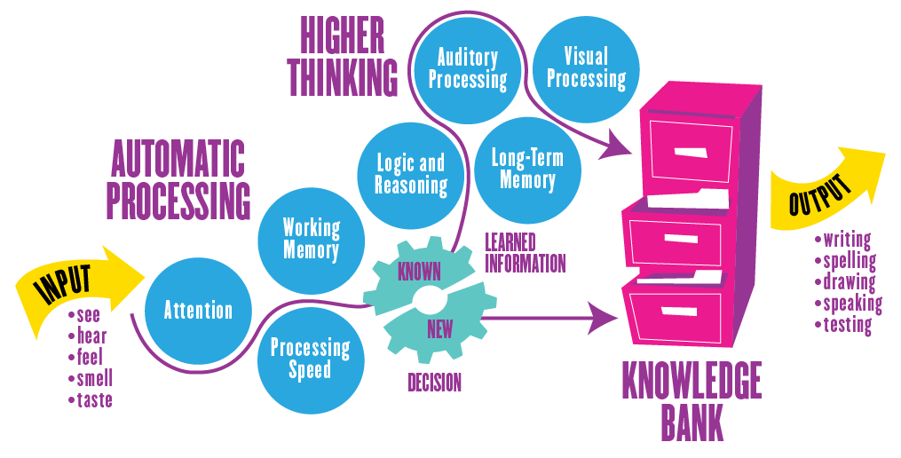 Our Services – Brain Fit U